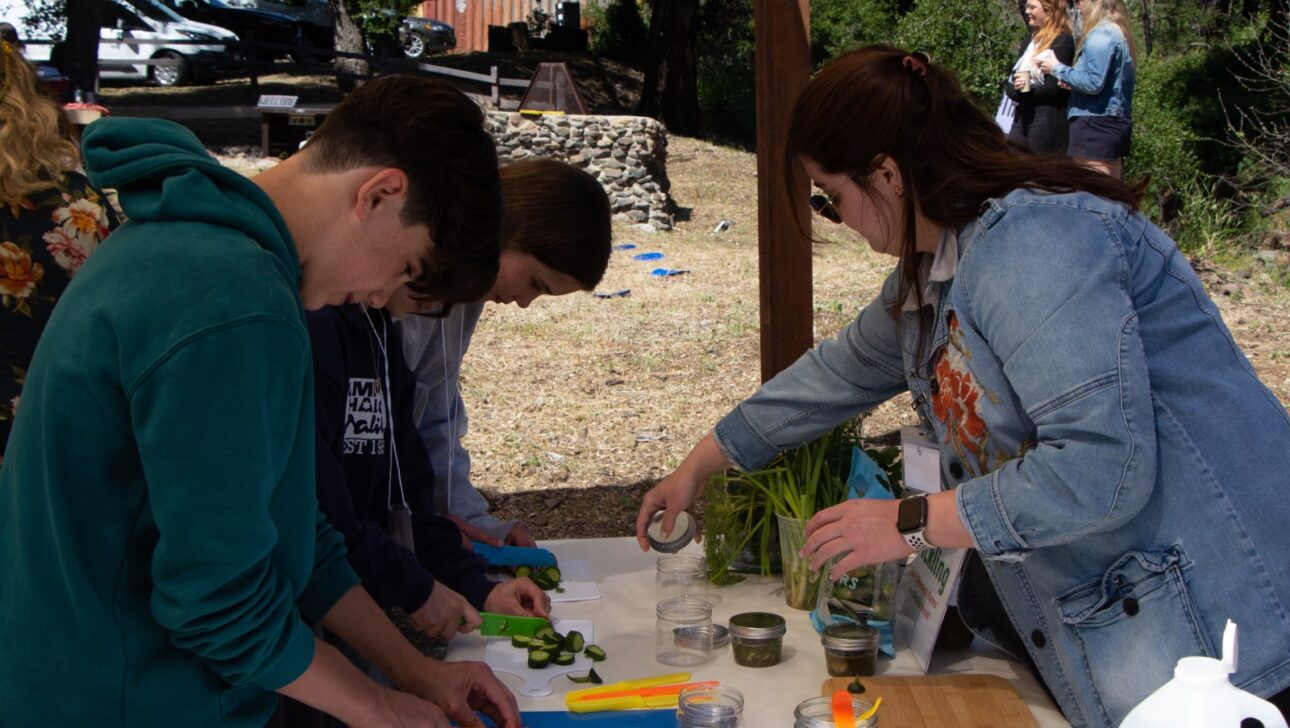 Camp JCA Shalom Summer 2025 - Shalom Institute